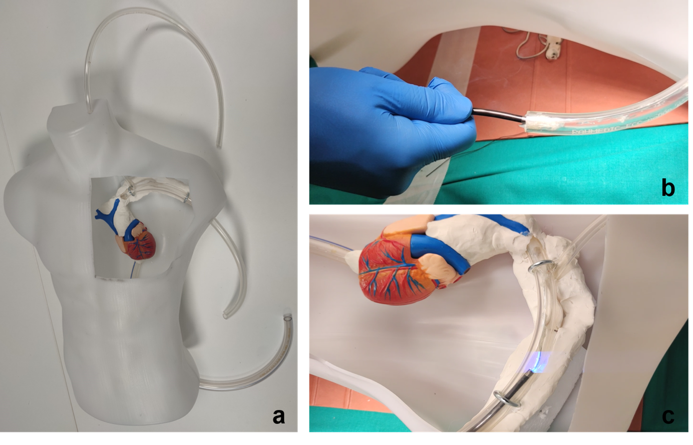 Cardiac surgery simulation: Advances in transvenous lead extraction | MMCTS