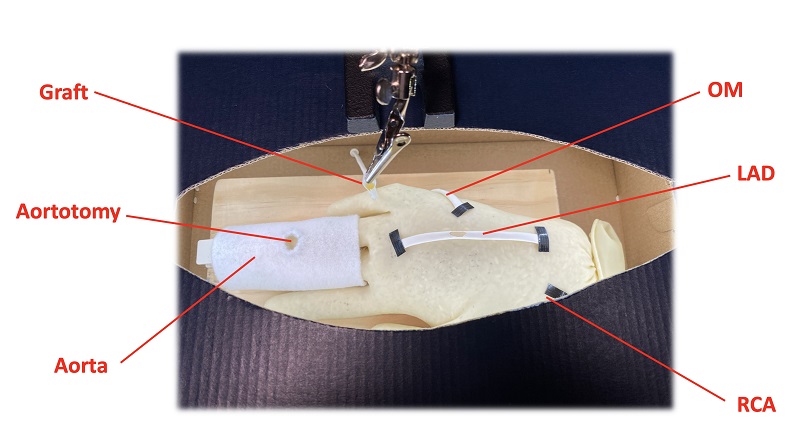 Cardiac surgery simulation – Part 3: Coronary anastomosis | MMCTS